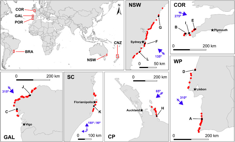Hot off the press! Embayed beaches | Geocoastal Research Group