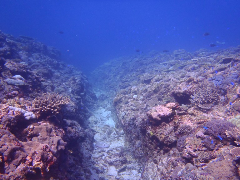 Coastal geomorphology and morphodynamics #coastalgeos | Geocoastal ...