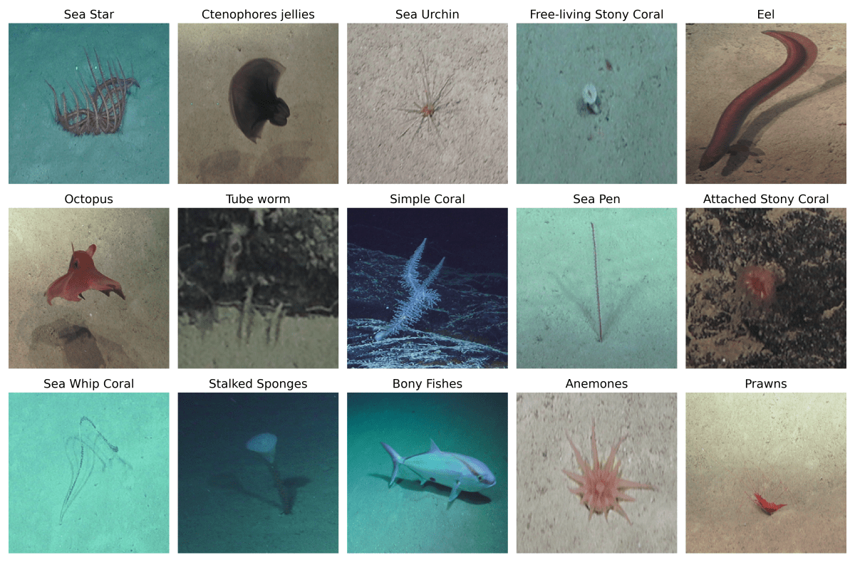 Hot off the Press!! Deepdive: Leveraging Pre-trained Deep Learning for ...